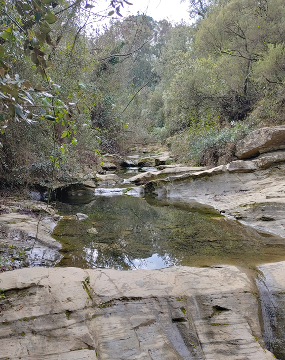 SORTIDA A LES GAVARRES - RUTA CIRCULAR. Quart – El Celrè – Gavarres ...